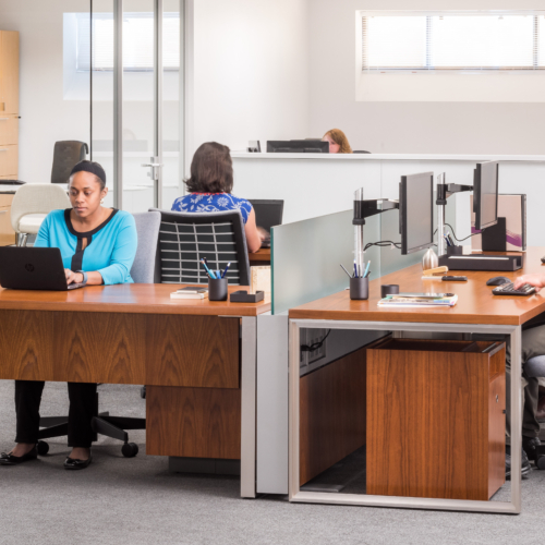 Reff Profiles - Hospitality Snapshots