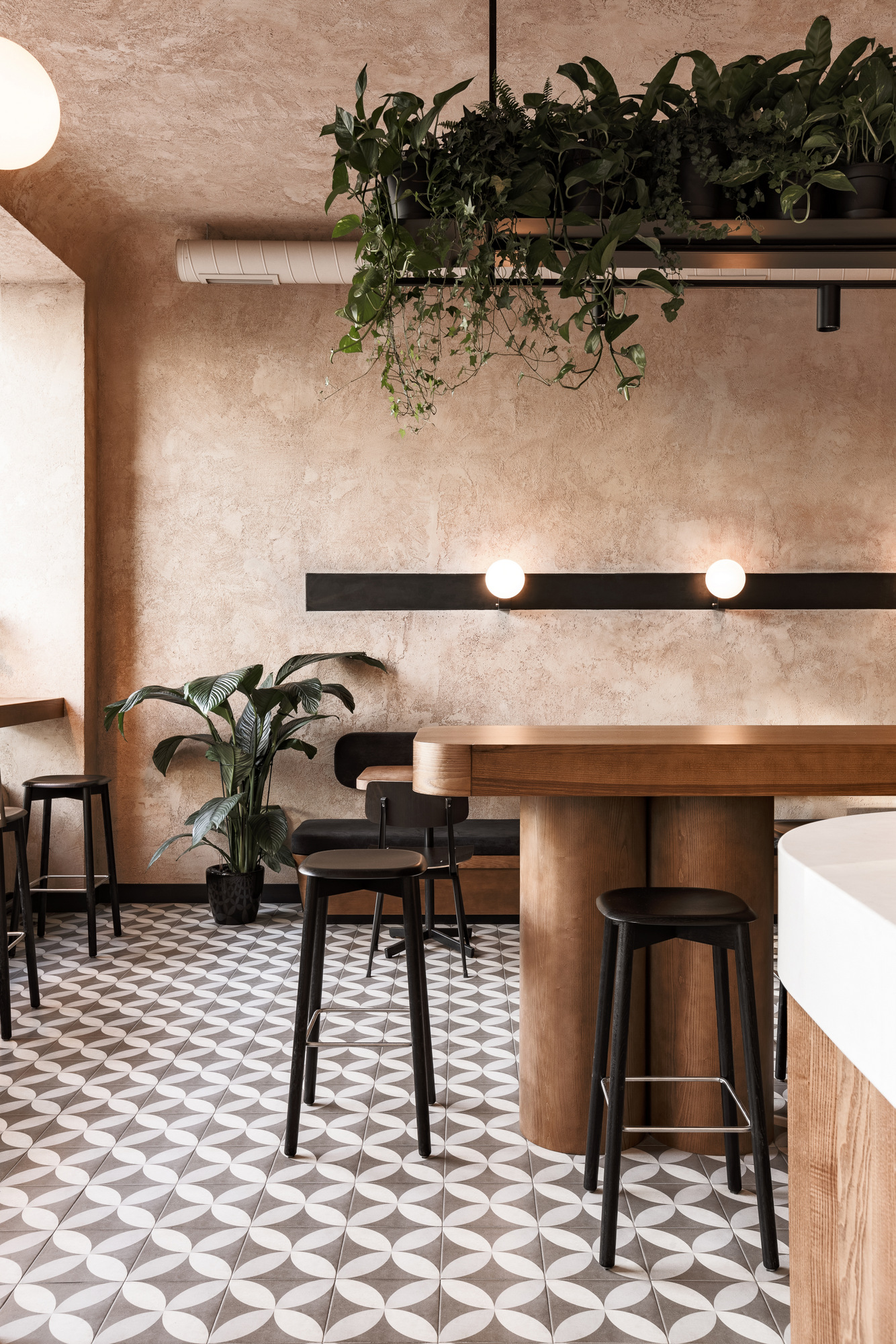 Daily Cafe - Hospitality Snapshots