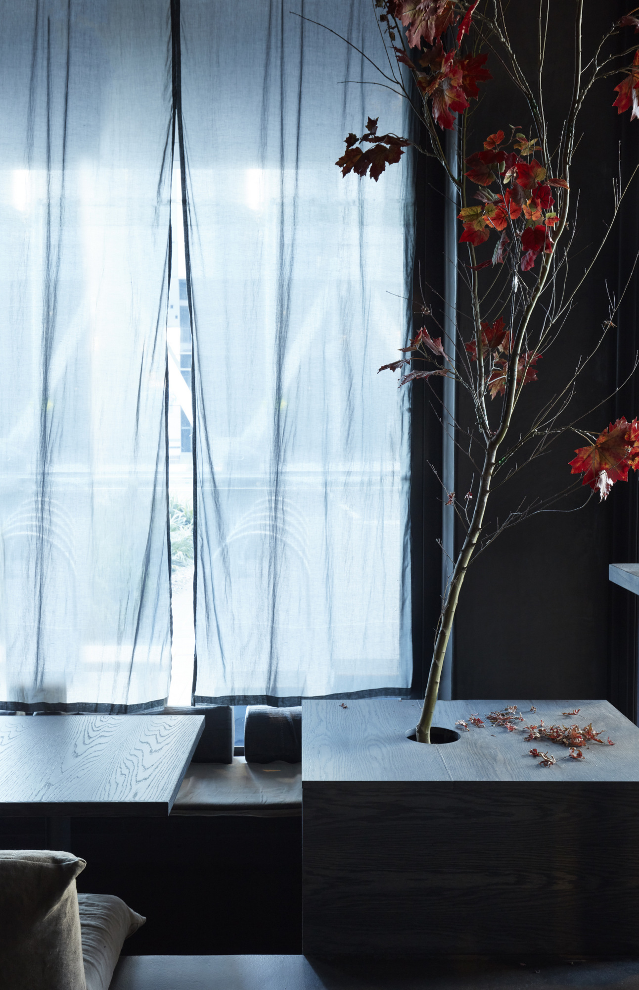 Edition Roasters - Hospitality Snapshots