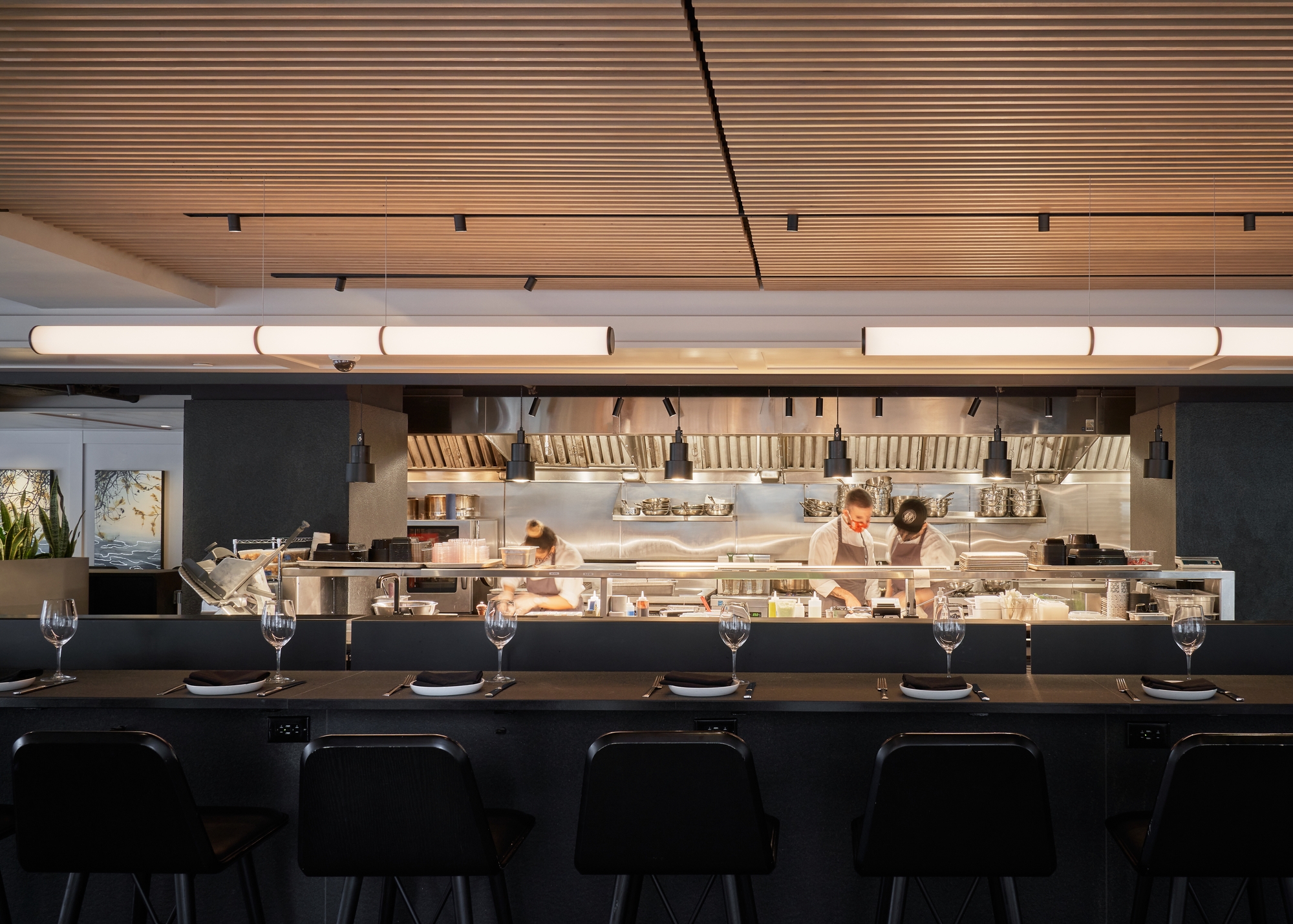 Wolf Restaurant - Hospitality Snapshots