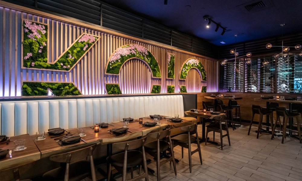 Kojo Restaurant - Hospitality Snapshots