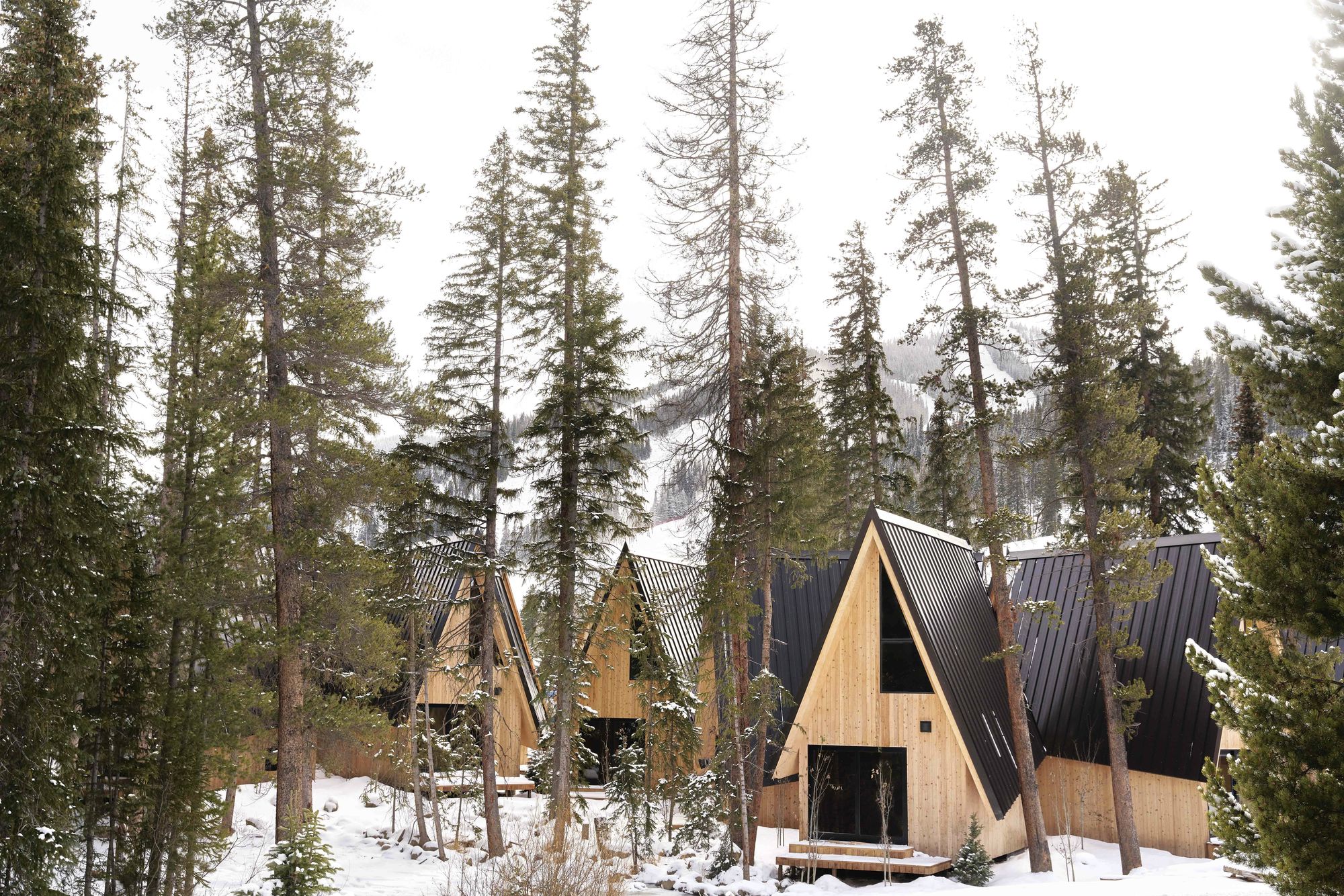 A-Frame Club - Hospitality Snapshots
