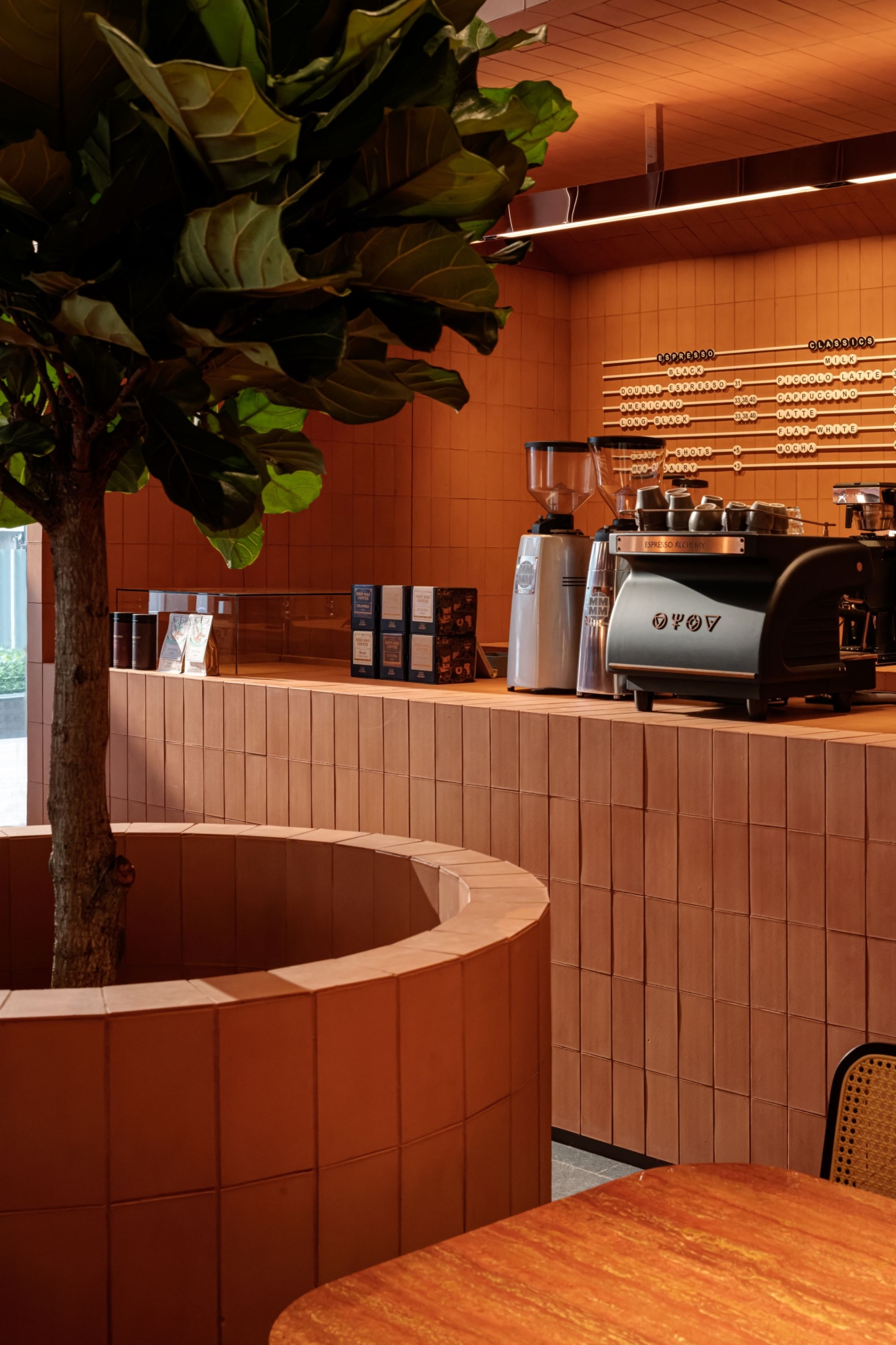 Alchemy Origin Cafe - Hospitality Snapshots