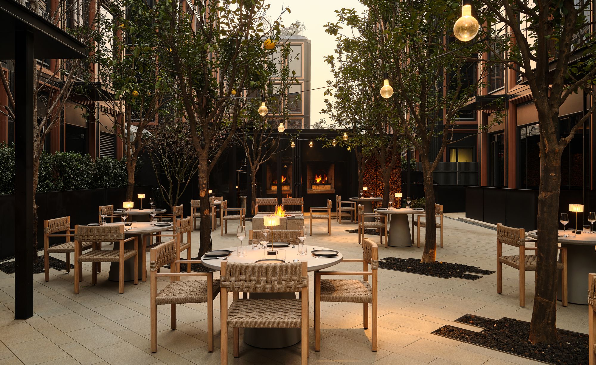 Shy Table Restaurant - Hospitality Snapshots