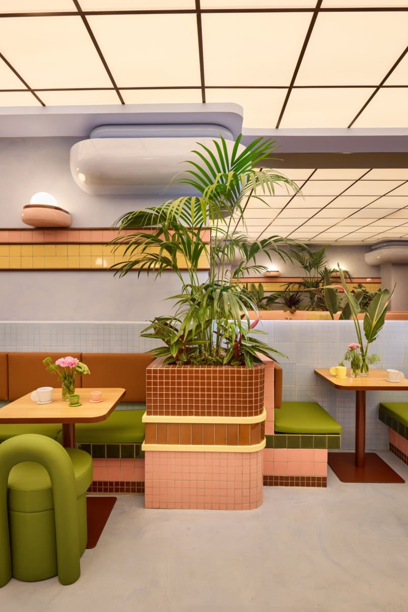 Amiko Gelato - Hospitality Snapshots