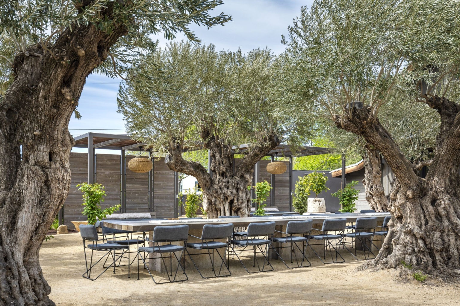 Pelio Estate Winery - Hospitality Snapshots
