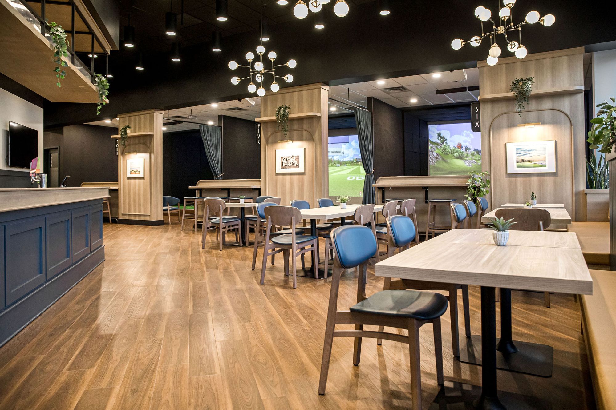 GoGo Golf Indoor Entertainment - Hospitality Snapshots