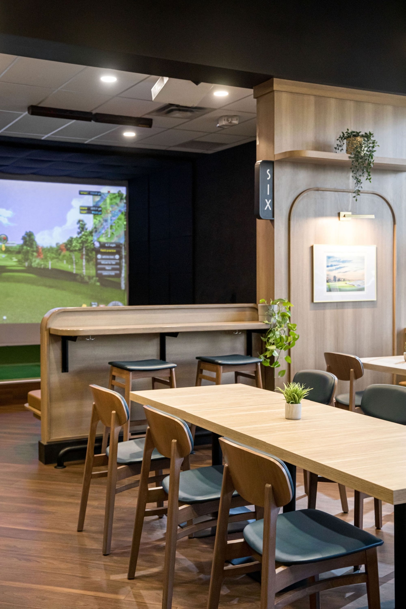 GoGo Golf Indoor Entertainment - Hospitality Snapshots